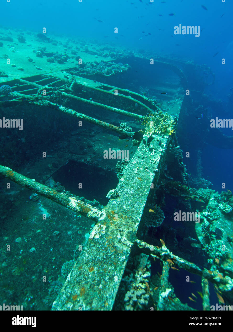 Mv express hi-res stock photography and images - Alamy