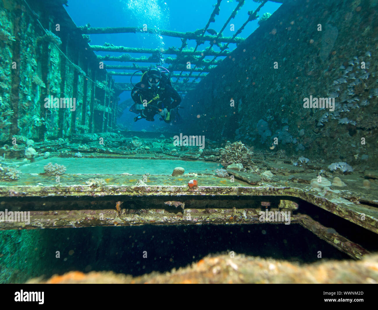 salem express wreck Stock Photo - Alamy