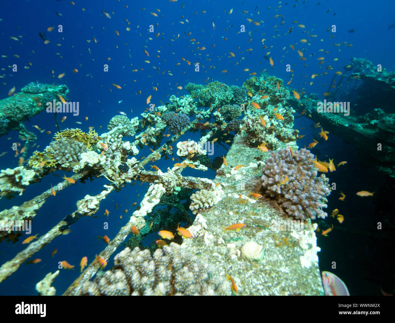 salem express wreck Stock Photo - Alamy