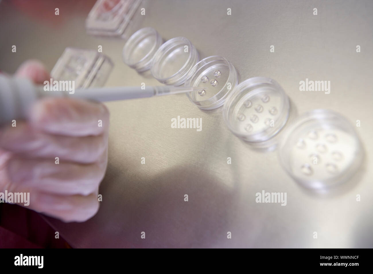 Sperm sample dish hi-res stock photography and images - Alamy