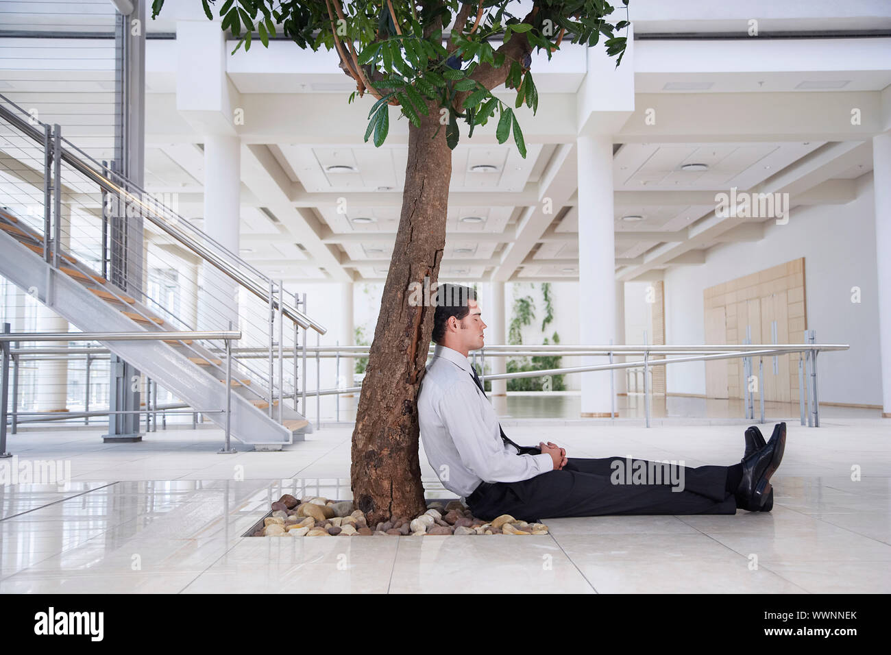 Men sleeping under tree hi-res stock photography and images - Alamy