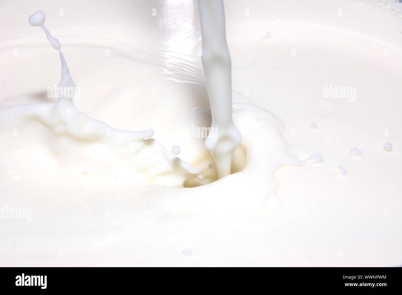 milk splashing into fresh milk with drops Stock Photo - Alamy