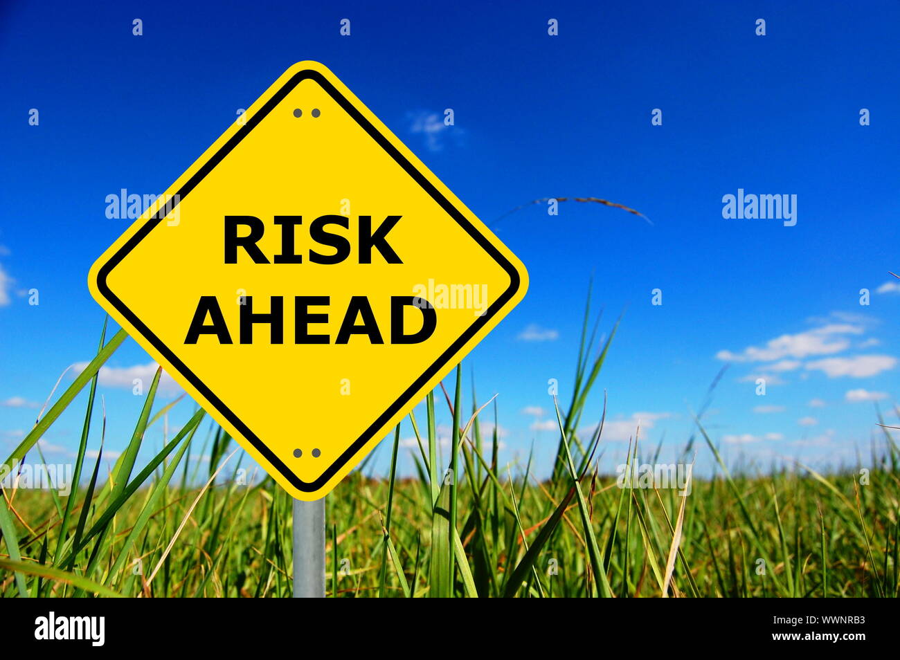 risk management concept with yellow road sign Stock Photo - Alamy