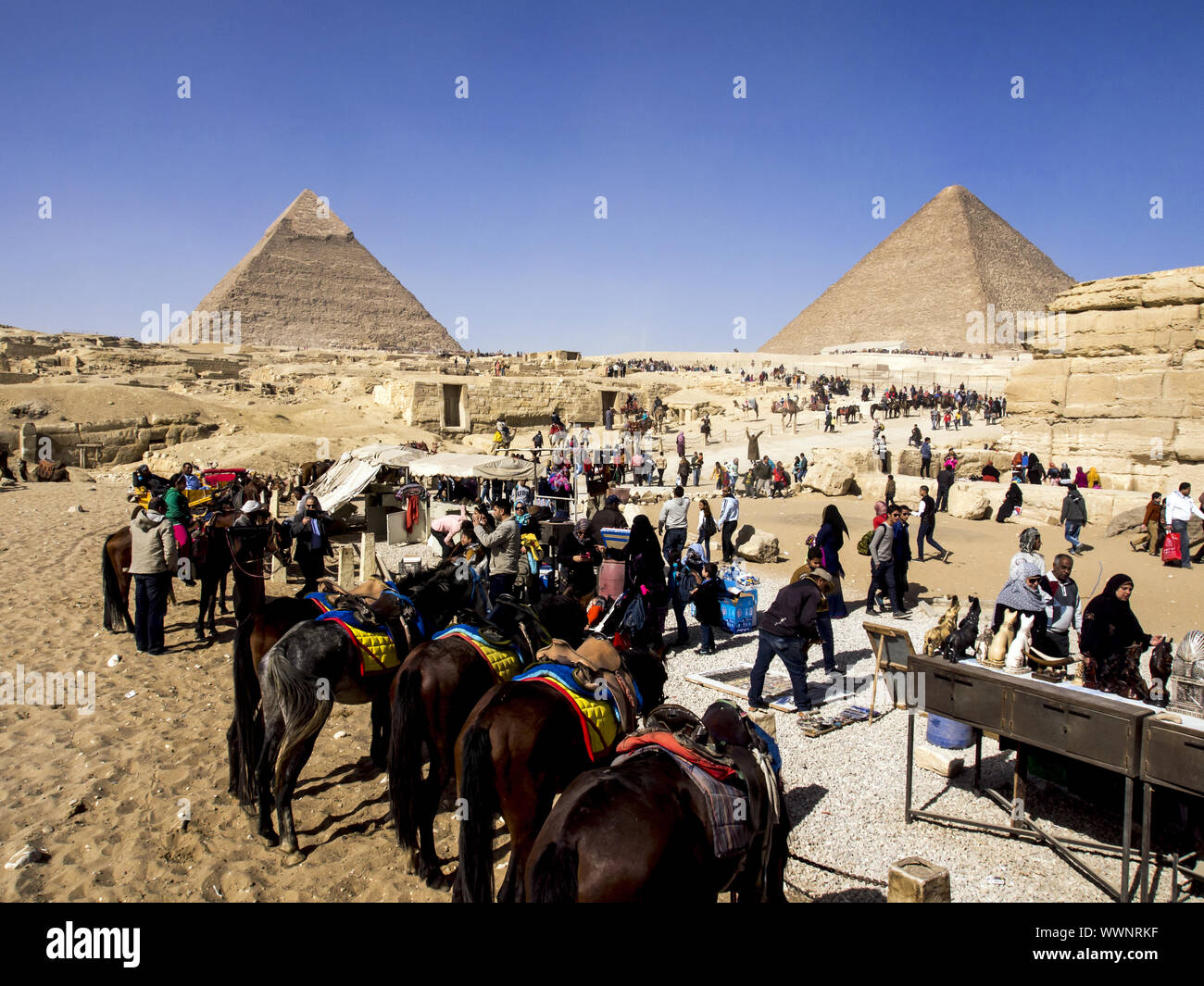 Market at the pyramids of Giza Stock Photo - Alamy