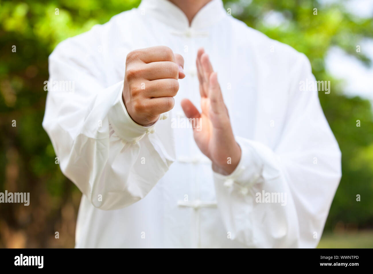 Hand kung fu man hi-res stock photography and images - Alamy