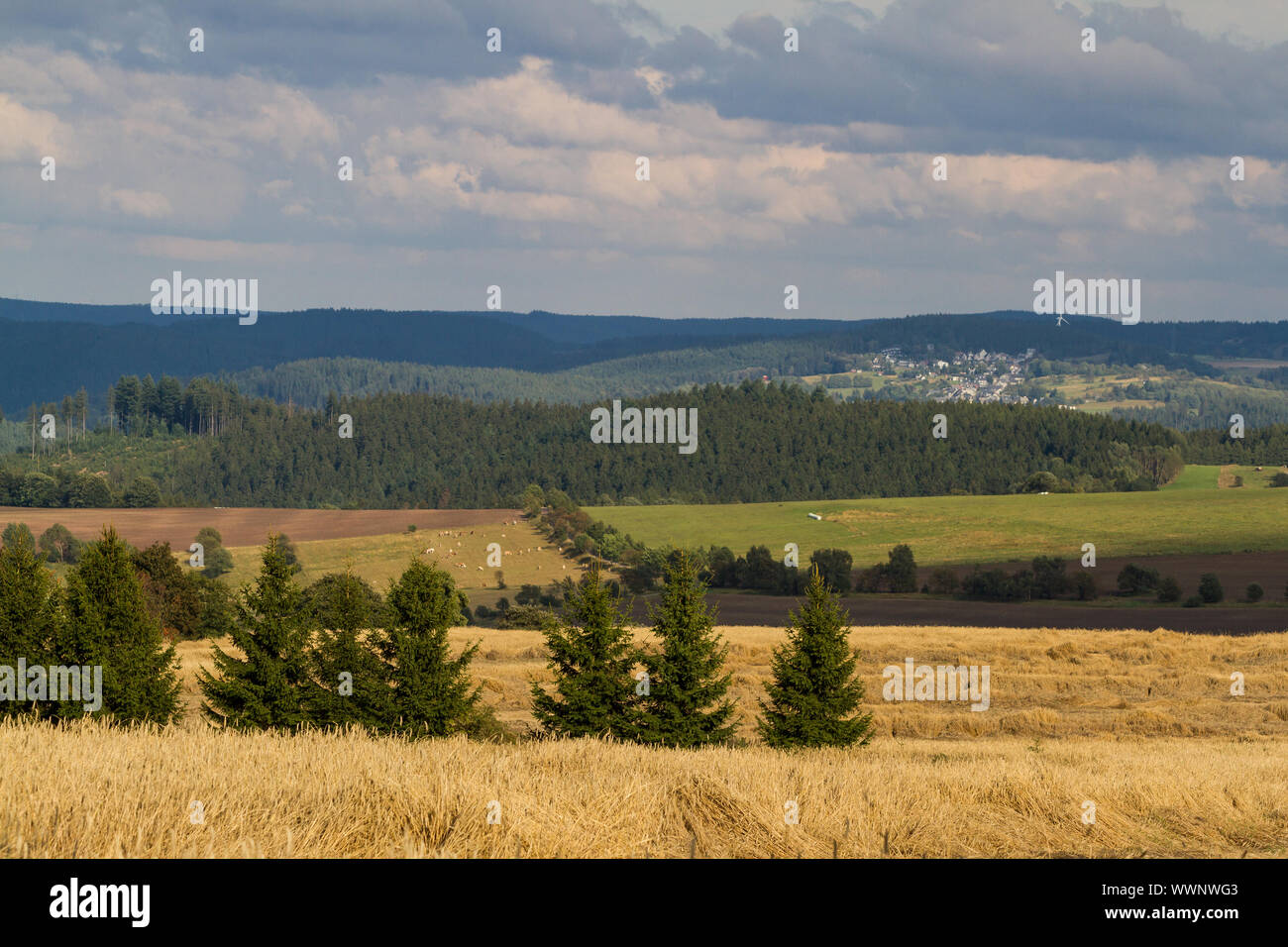 Landscape thuringian forest hi-res stock photography and images - Alamy