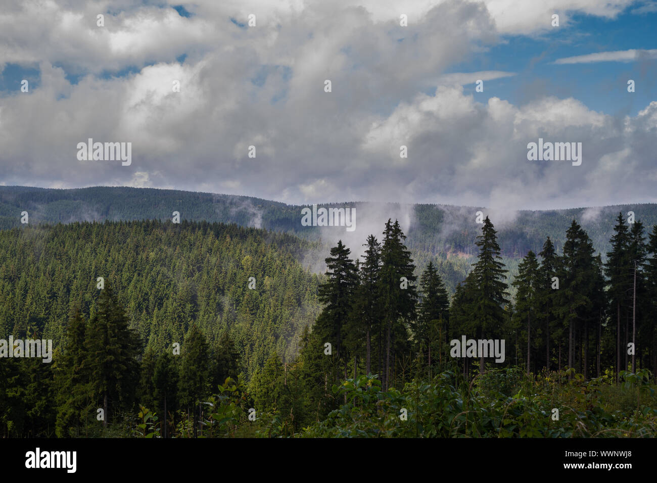 Thuringian Forest in Morning Mood Stock Photo - Alamy