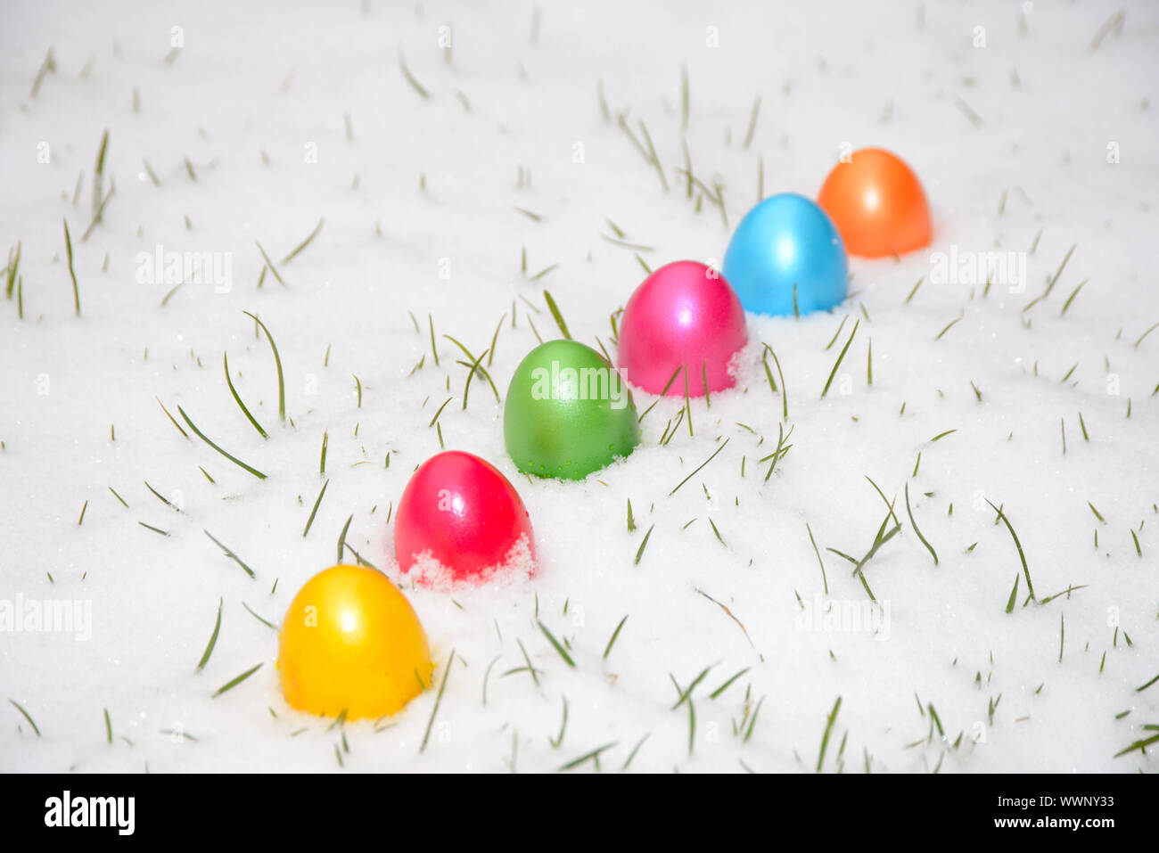 Easter eggs in snow Stock Photo - Alamy