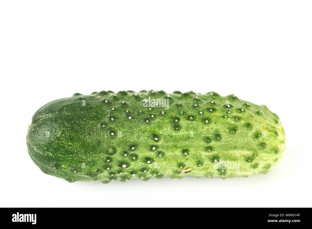 one cucumber isolated on white background Stock Photo - Alamy