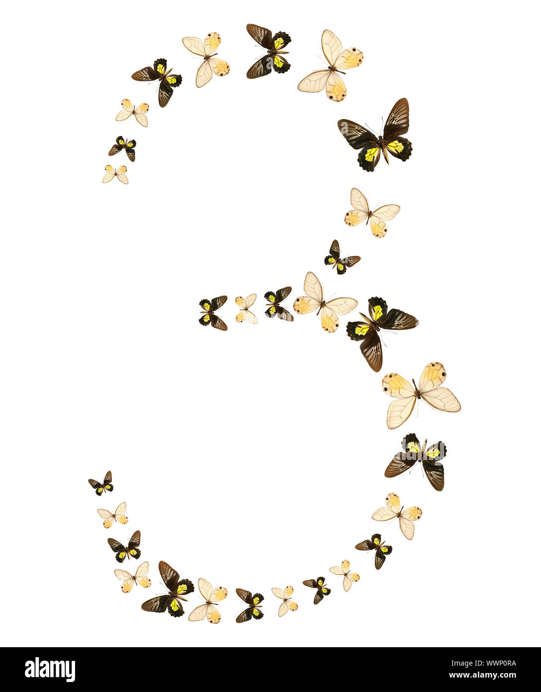 Three number butterfly show isolated Stock Photo - Alamy
