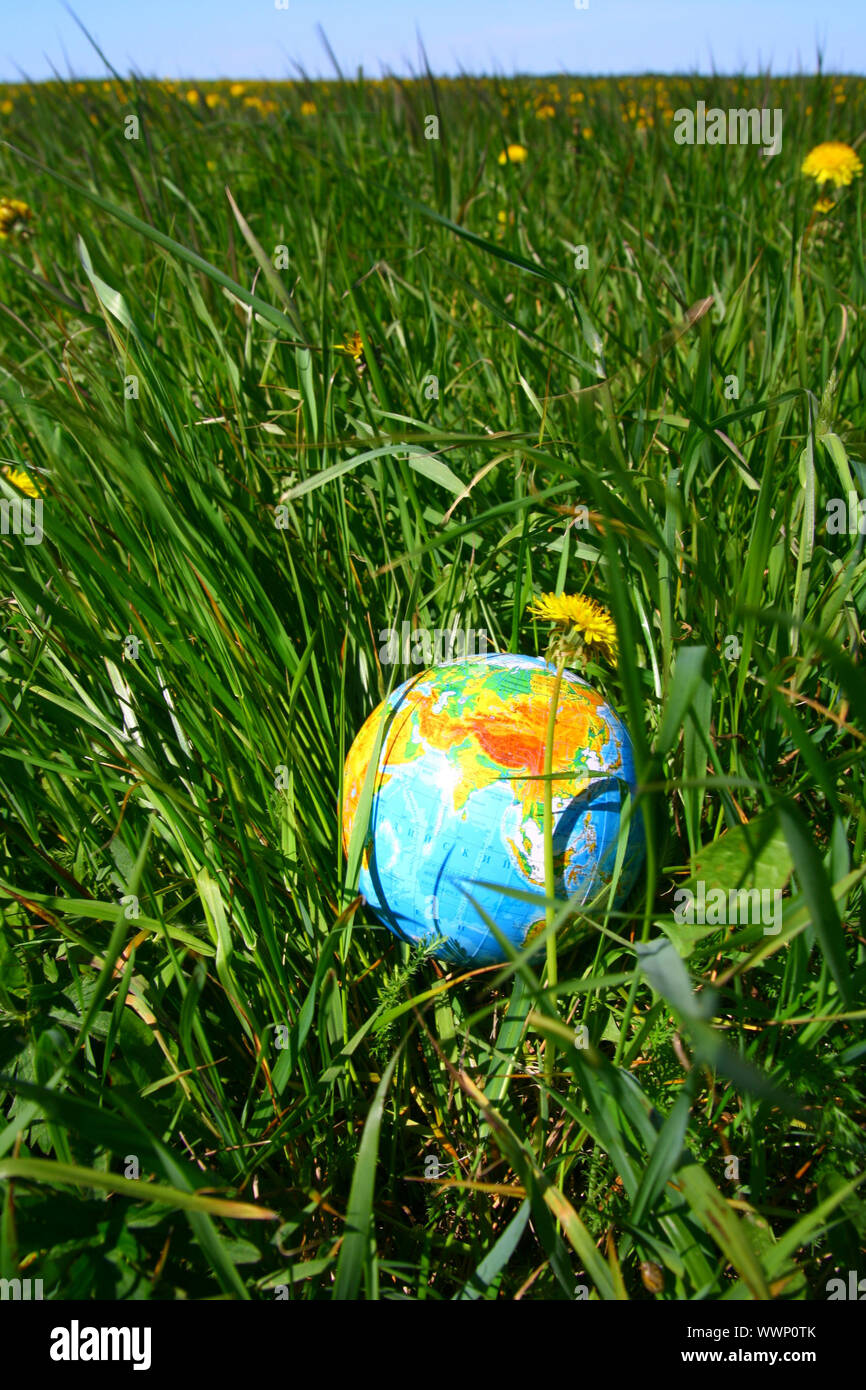 globe of planet earth in green grass Stock Photo - Alamy