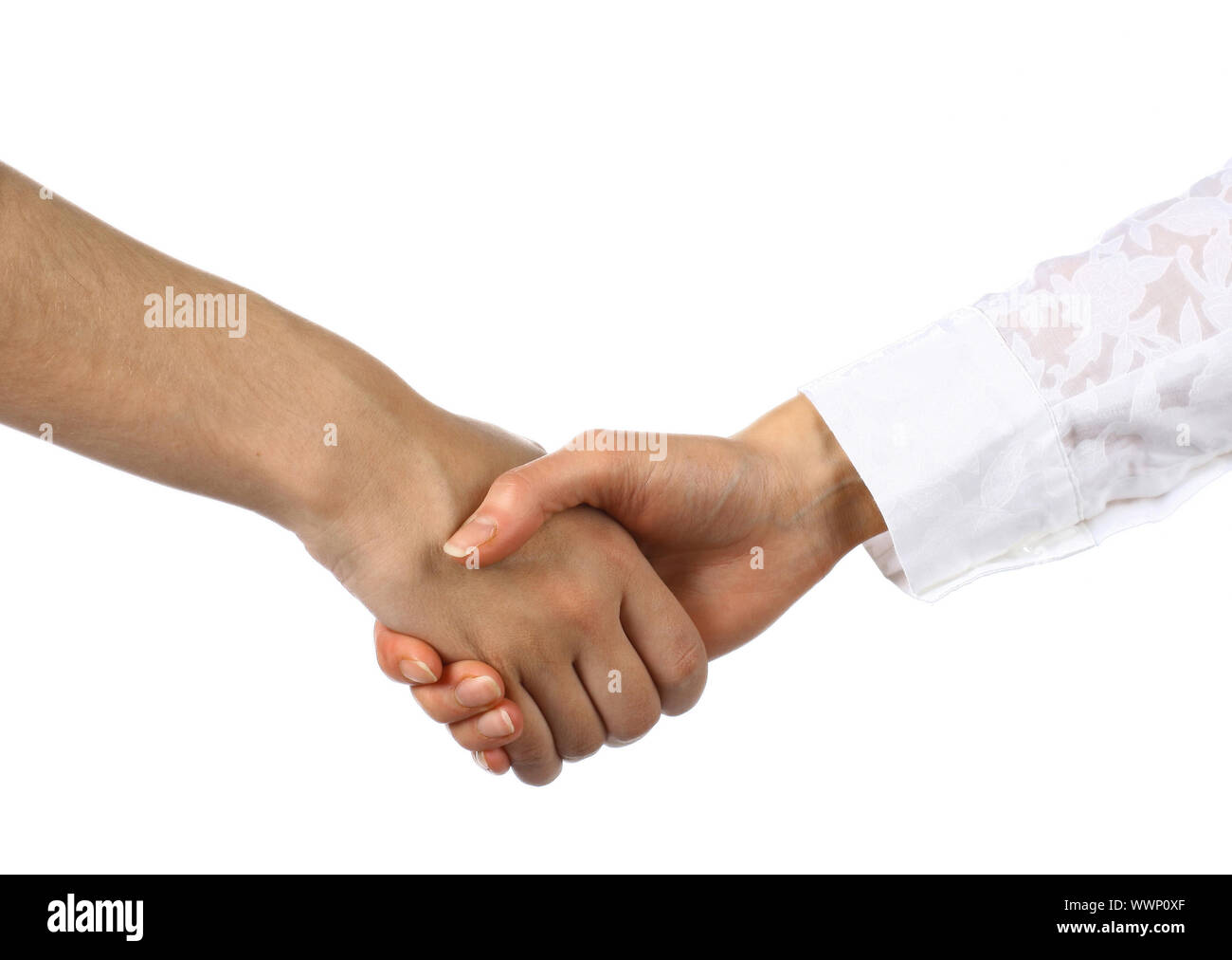 The girl greets the woman hand shake success Stock Photo - Alamy