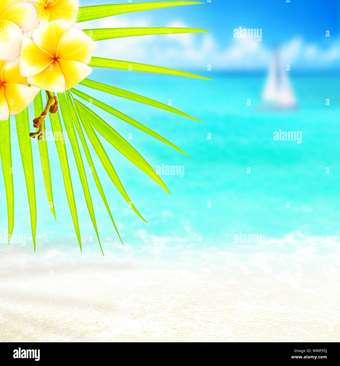 Tropical Beach Border