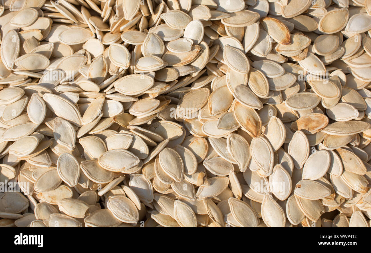 A lot of seeds Background texture of the pumpkin seeds Stock Photo - Alamy
