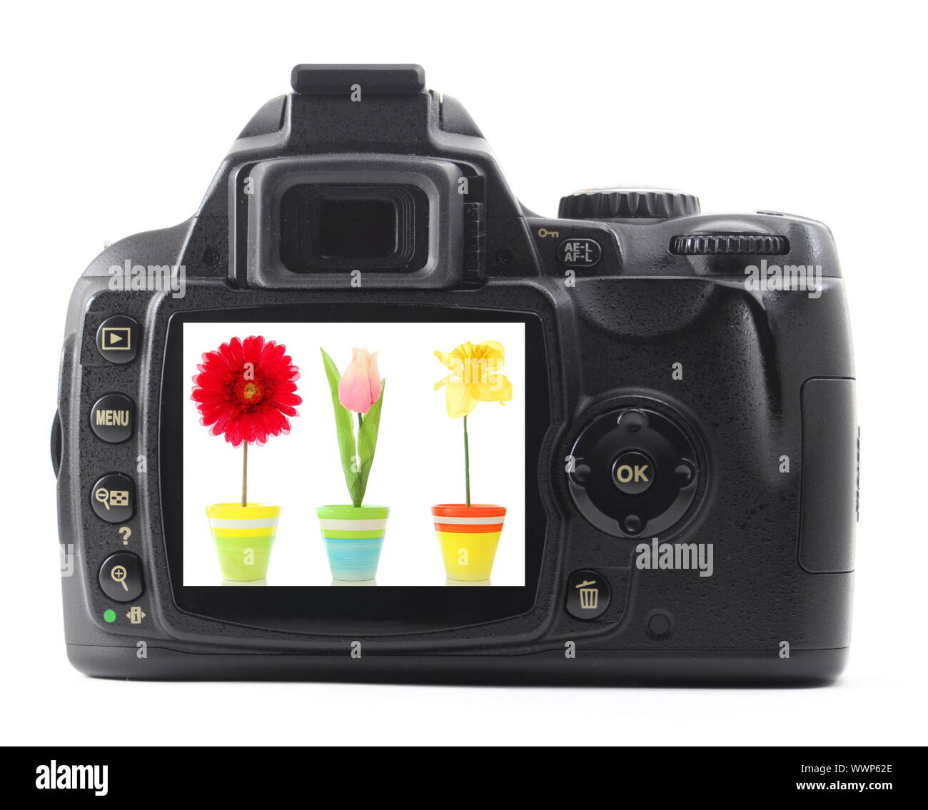 dslr with summer flower isolated on white background Stock Photo - Alamy