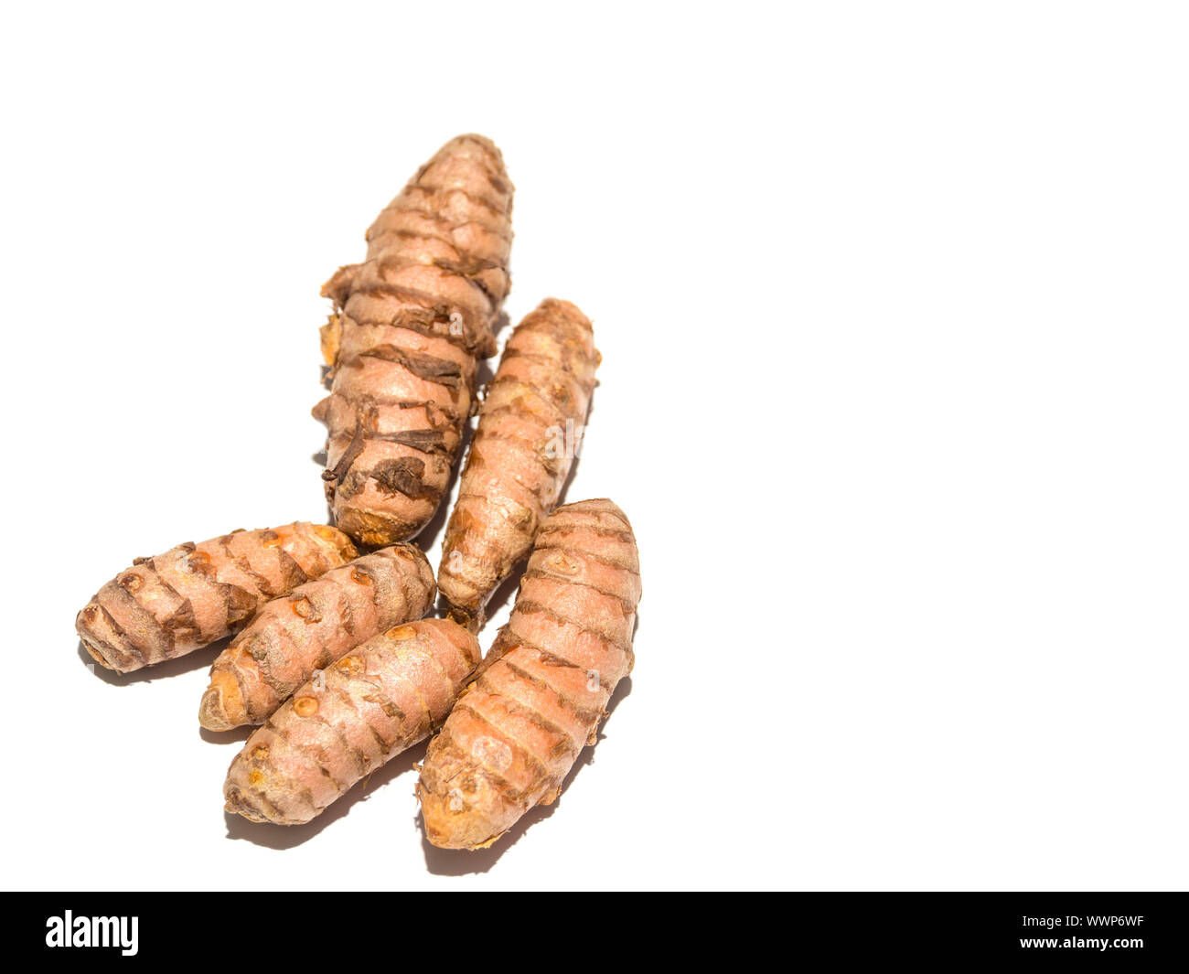 Shallow roots Cut Out Stock Images & Pictures - Alamy