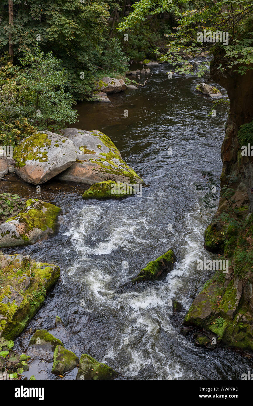 Bode valley rose hi-res stock photography and images - Alamy