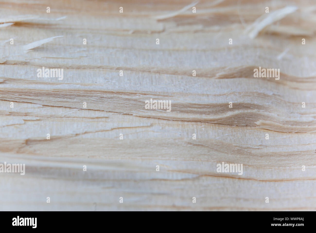 Fibred High Resolution Stock Photography and Images - Alamy