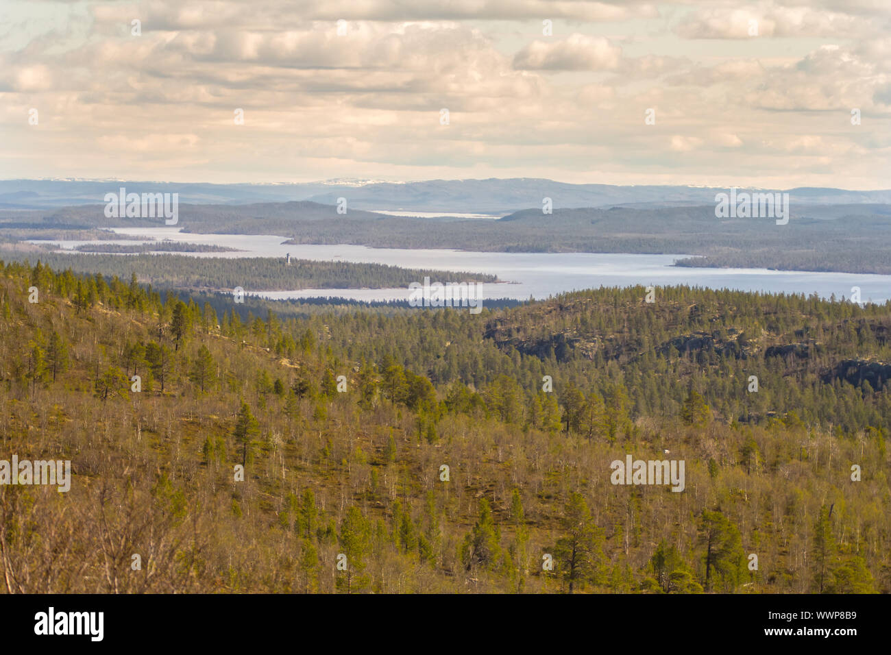 Spectacular views of valley taiga river Stock Photo - Alamy