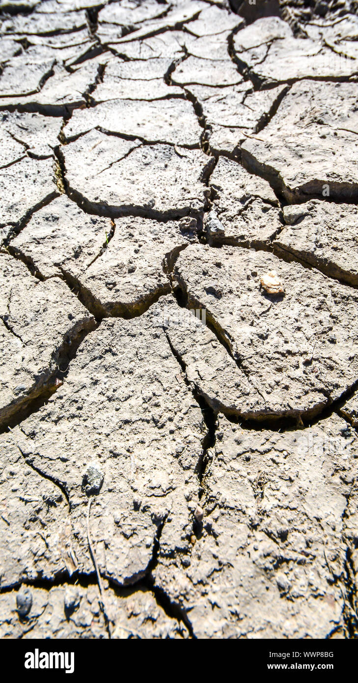 Drought leads to famine Stock Photo - Alamy