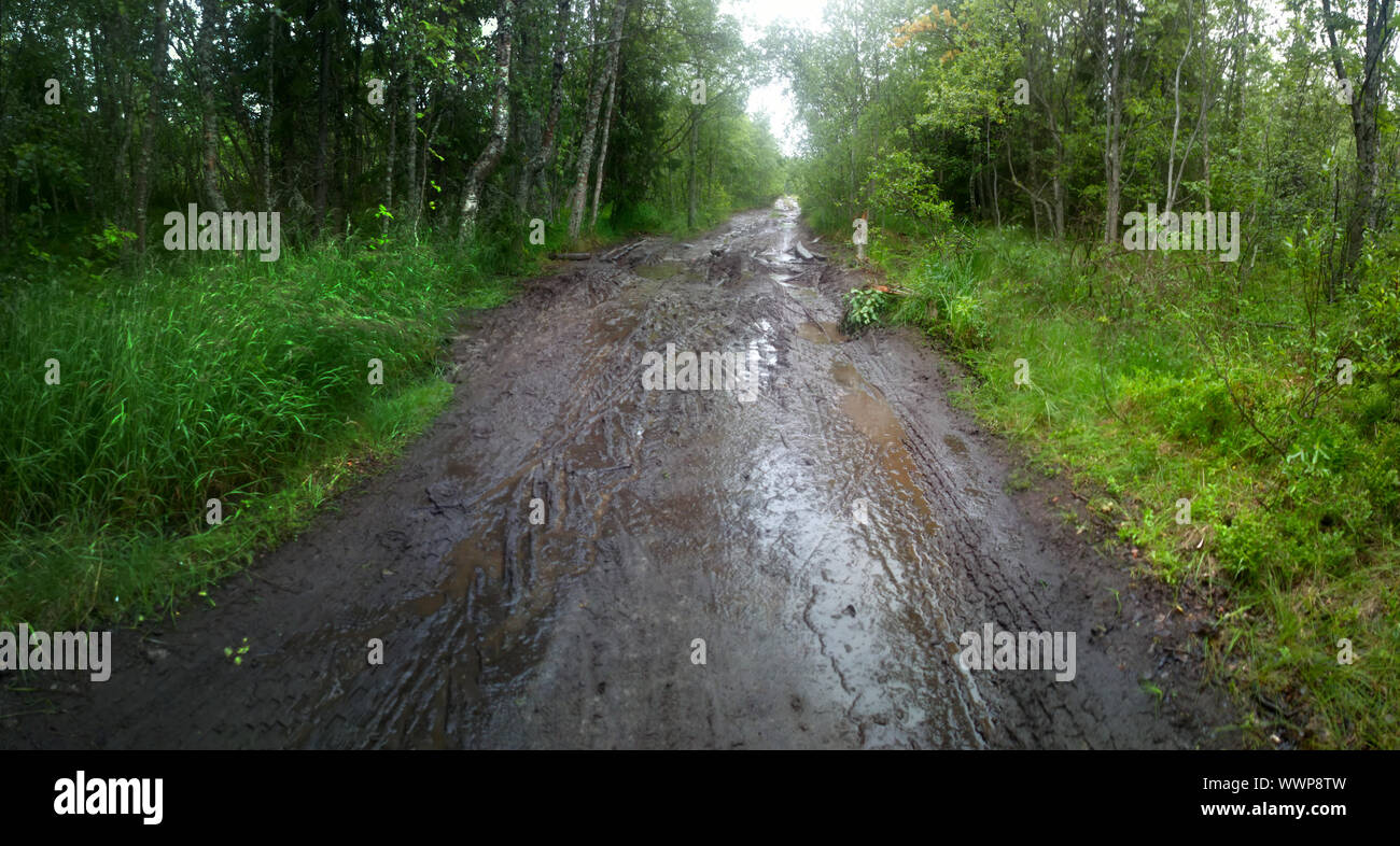 Cycling Northern summer off-road panoramic Stock Photo - Alamy