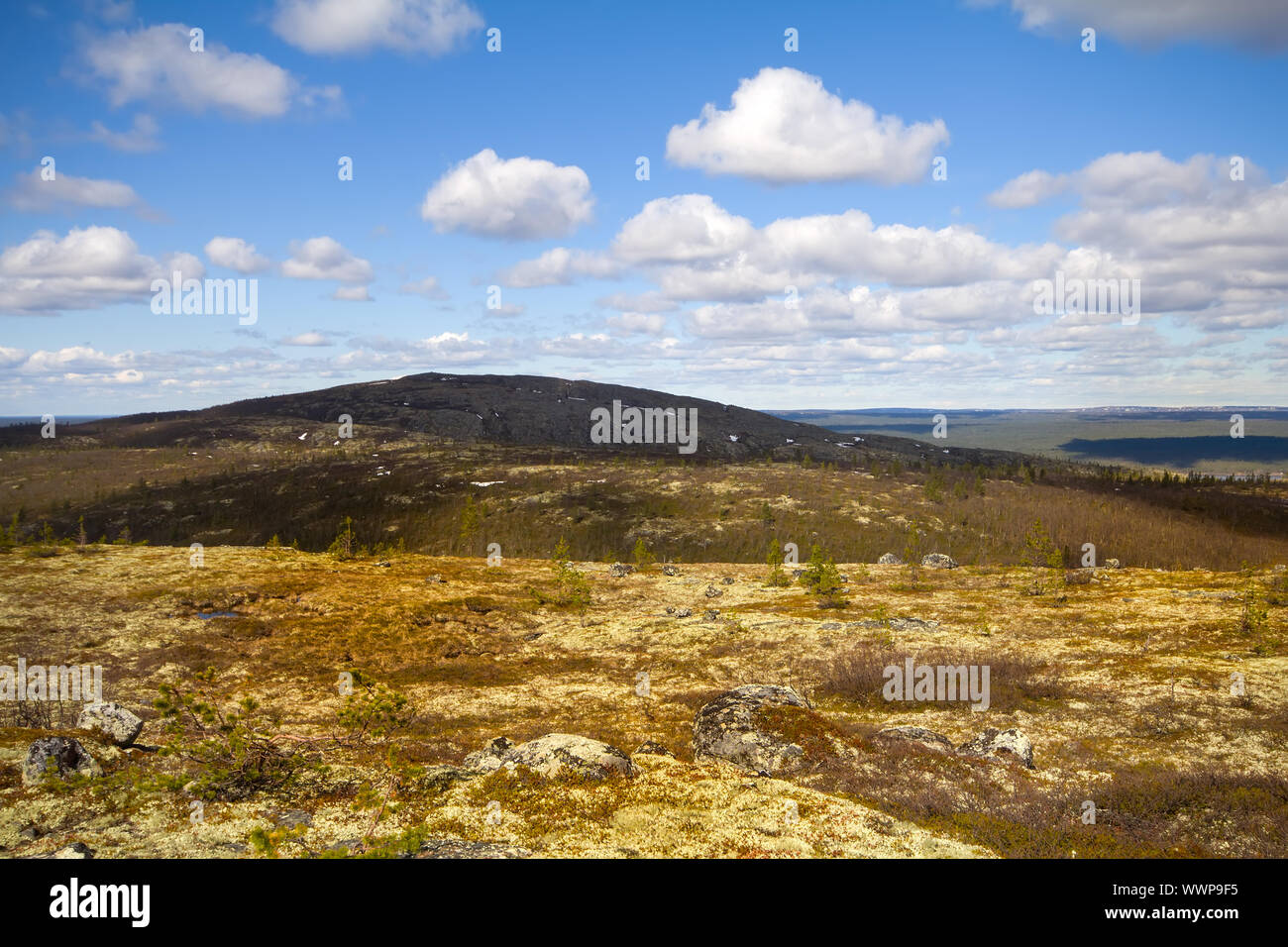 Mountain tundra in Lapland Stock Photo - Alamy