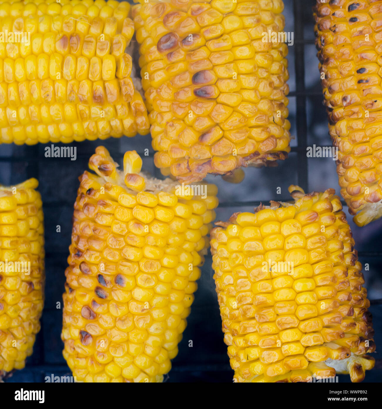 roasted sweet corns on the bbq grill Stock Photo - Alamy