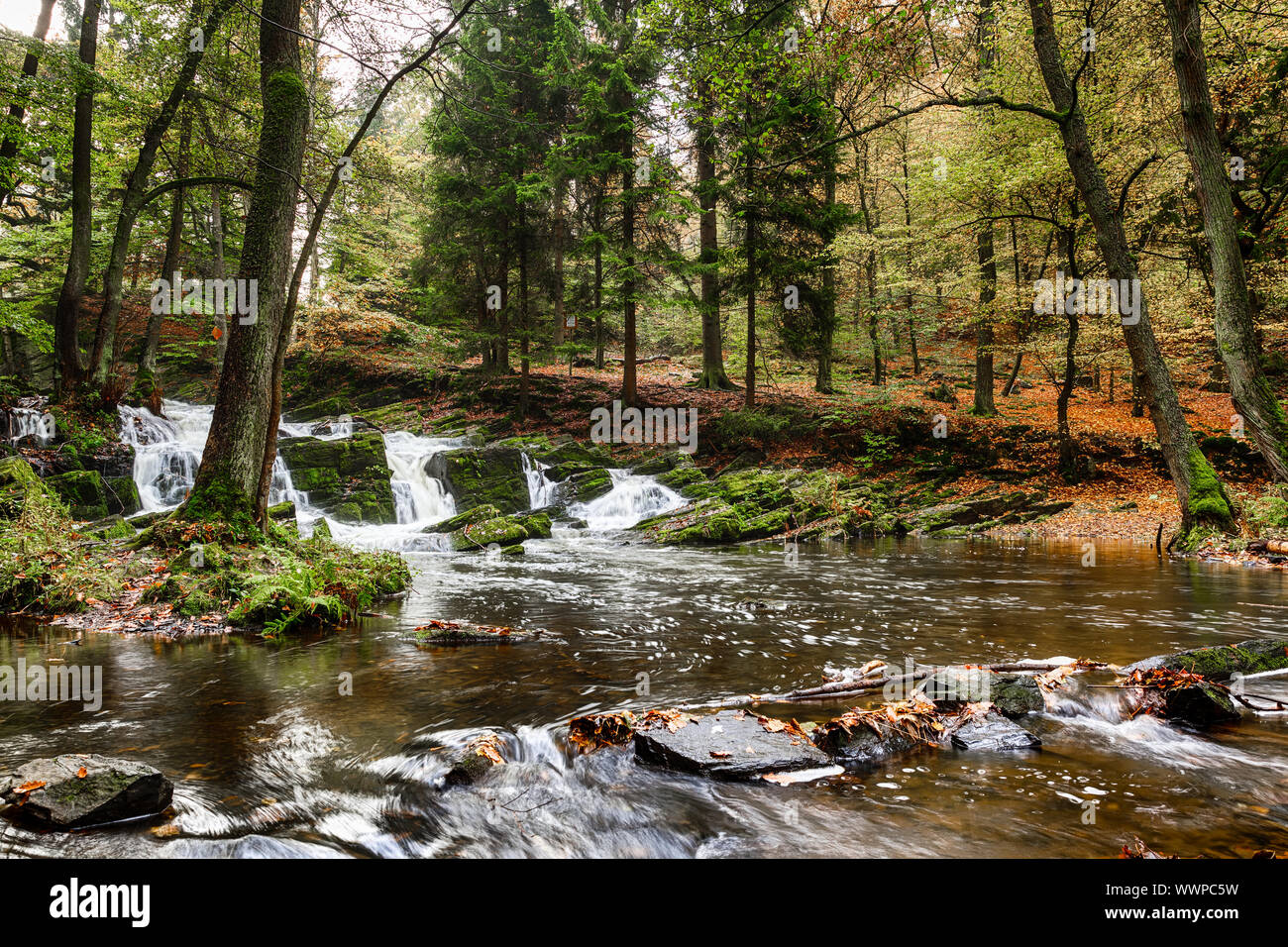 Selke river hi-res stock photography and images - Alamy