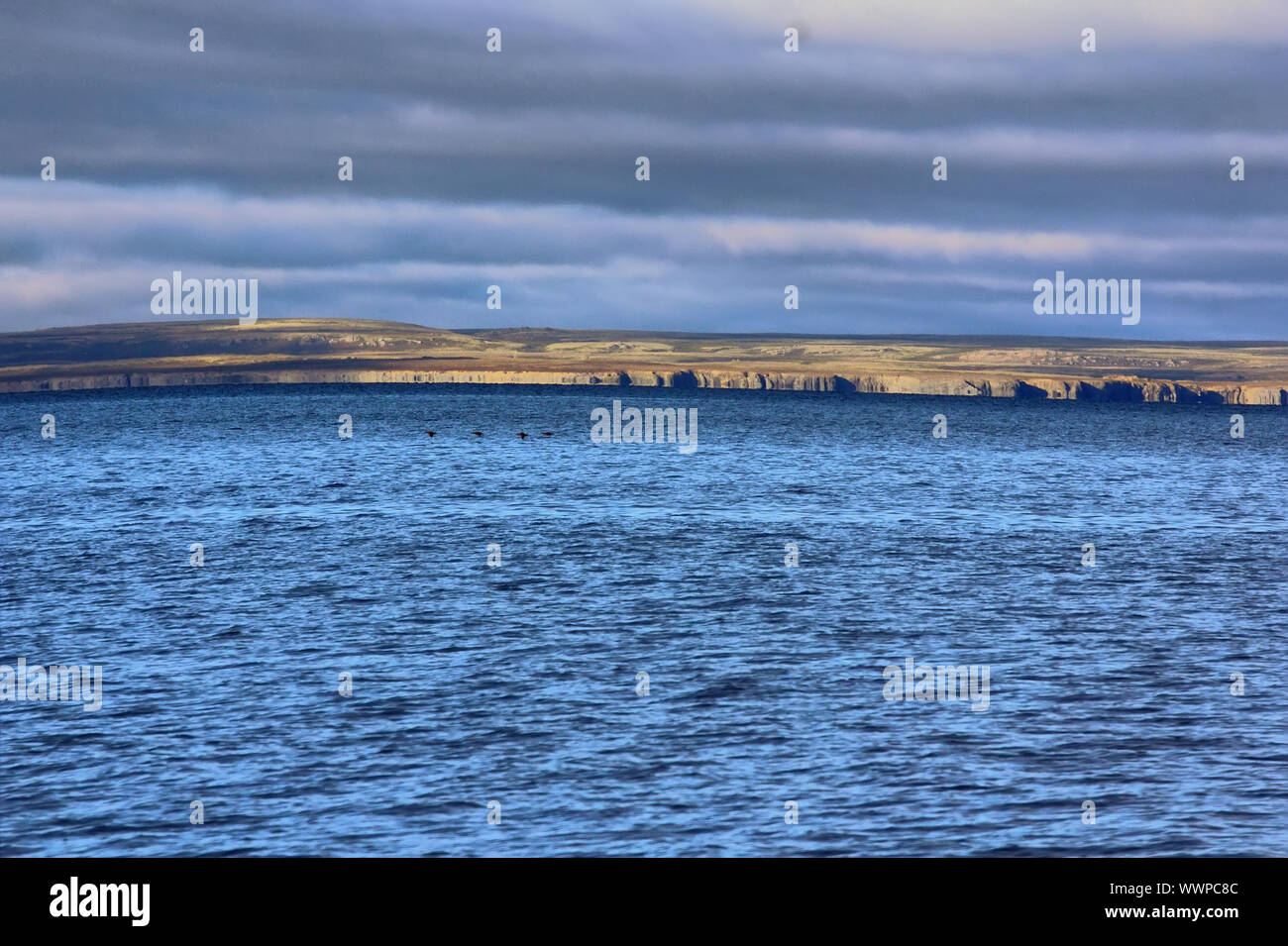 The Barents sea and coast of Vaygach island Stock Photo - Alamy