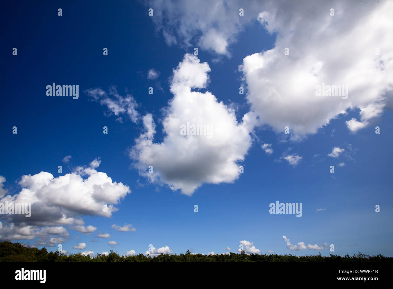 A cloud background with cumulus clouds Stock Photo - Alamy