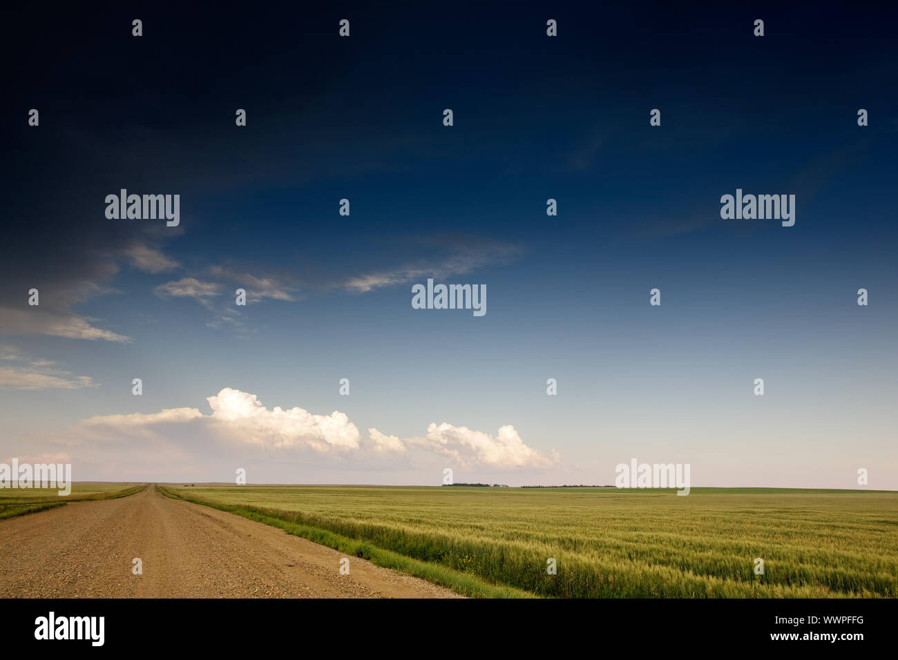 A road on a prairie landscape Stock Photo - Alamy