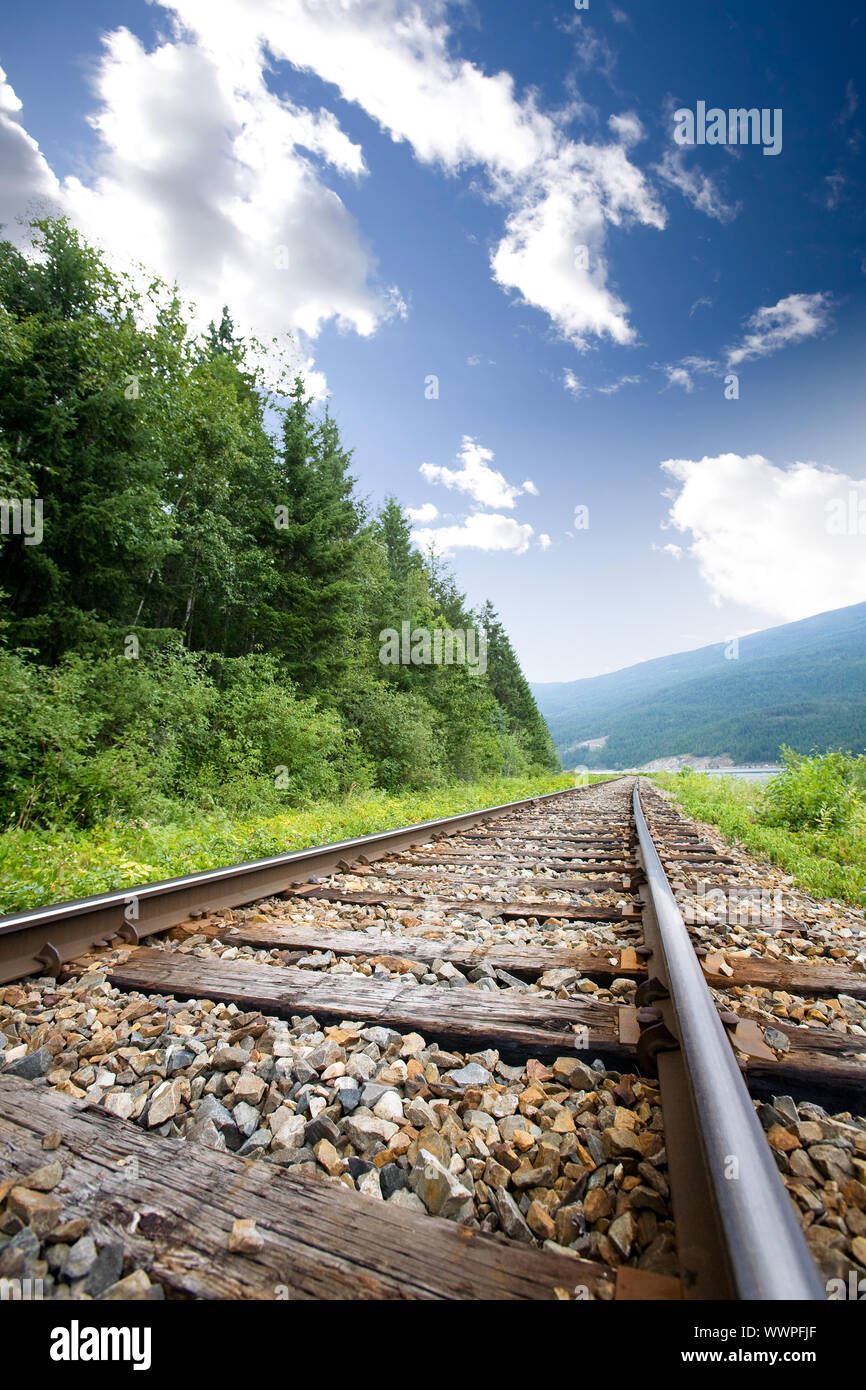 Railroad tracks in nature Stock Photo - Alamy