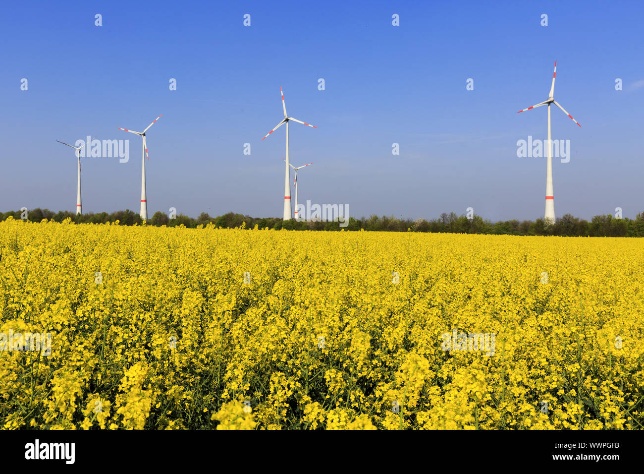Wind wheel , Windrad Stock Photo - Alamy