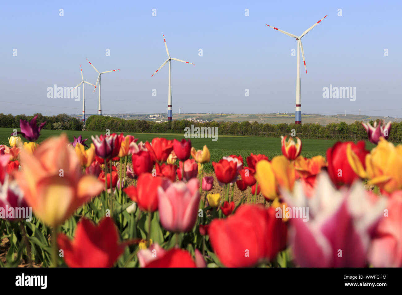 Wind wheel , Windrad Stock Photo - Alamy
