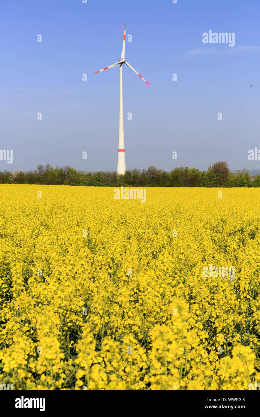 Wind wheel , Windrad Stock Photo - Alamy