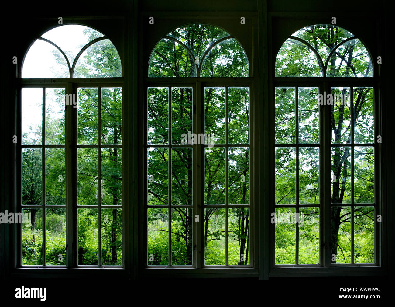 Large arched windows looking out into a garden or forest Stock Photo ...