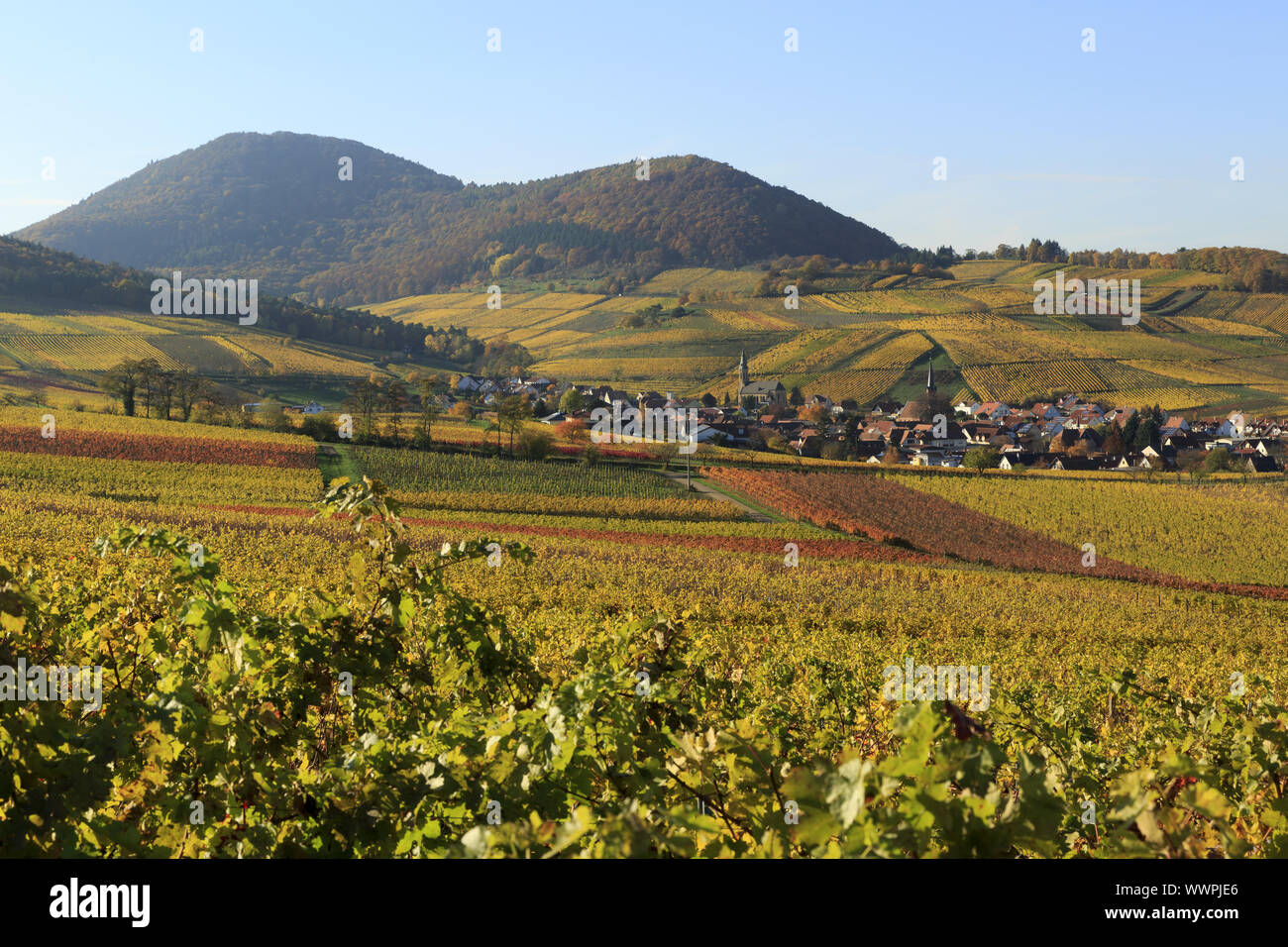 Southern Wine Route Stock Photo - Alamy