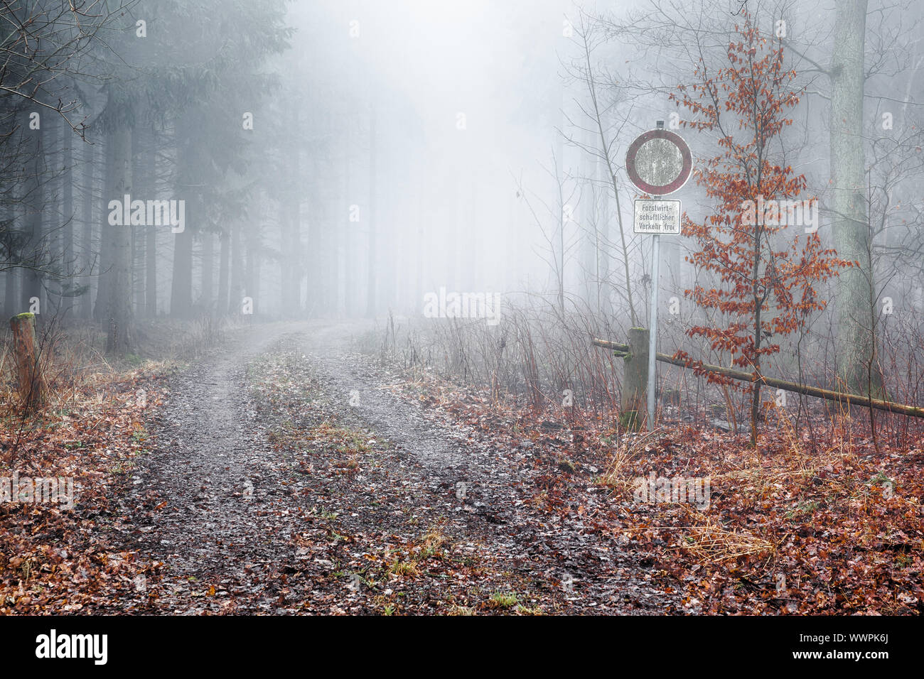Depressing landscape hi-res stock photography and images - Alamy