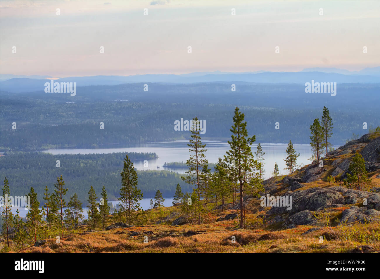 Norwegian plateau (fjelds) in Lapland. Most Northern forest in Europe ...