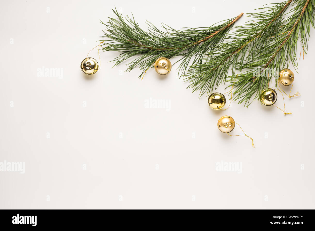 christmas tree branches, business cards, pine cones, flat lay, fir tree ...