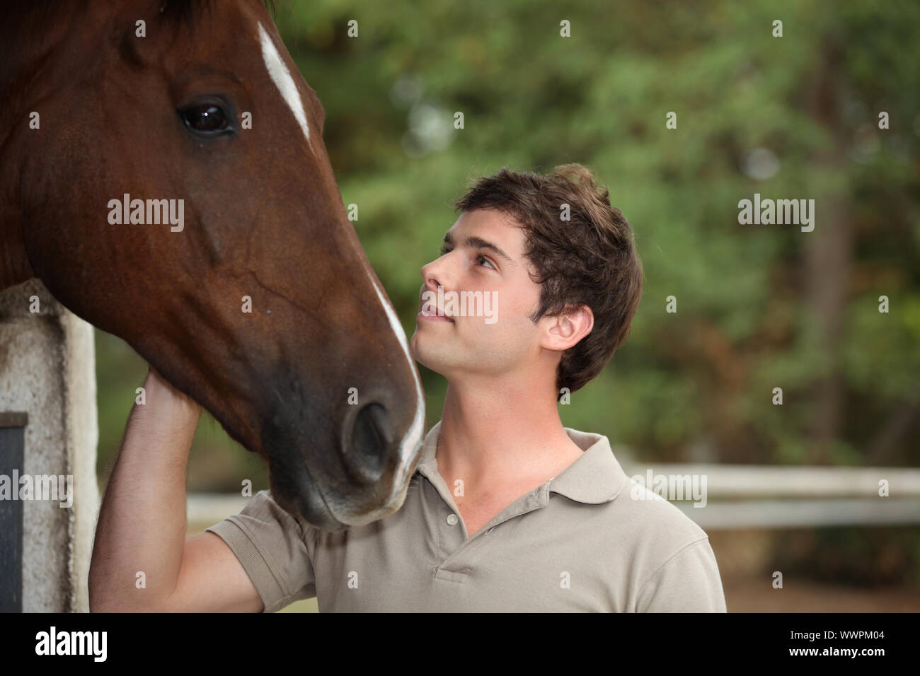 portrait of a young man with horse Stock Photo - Alamy
