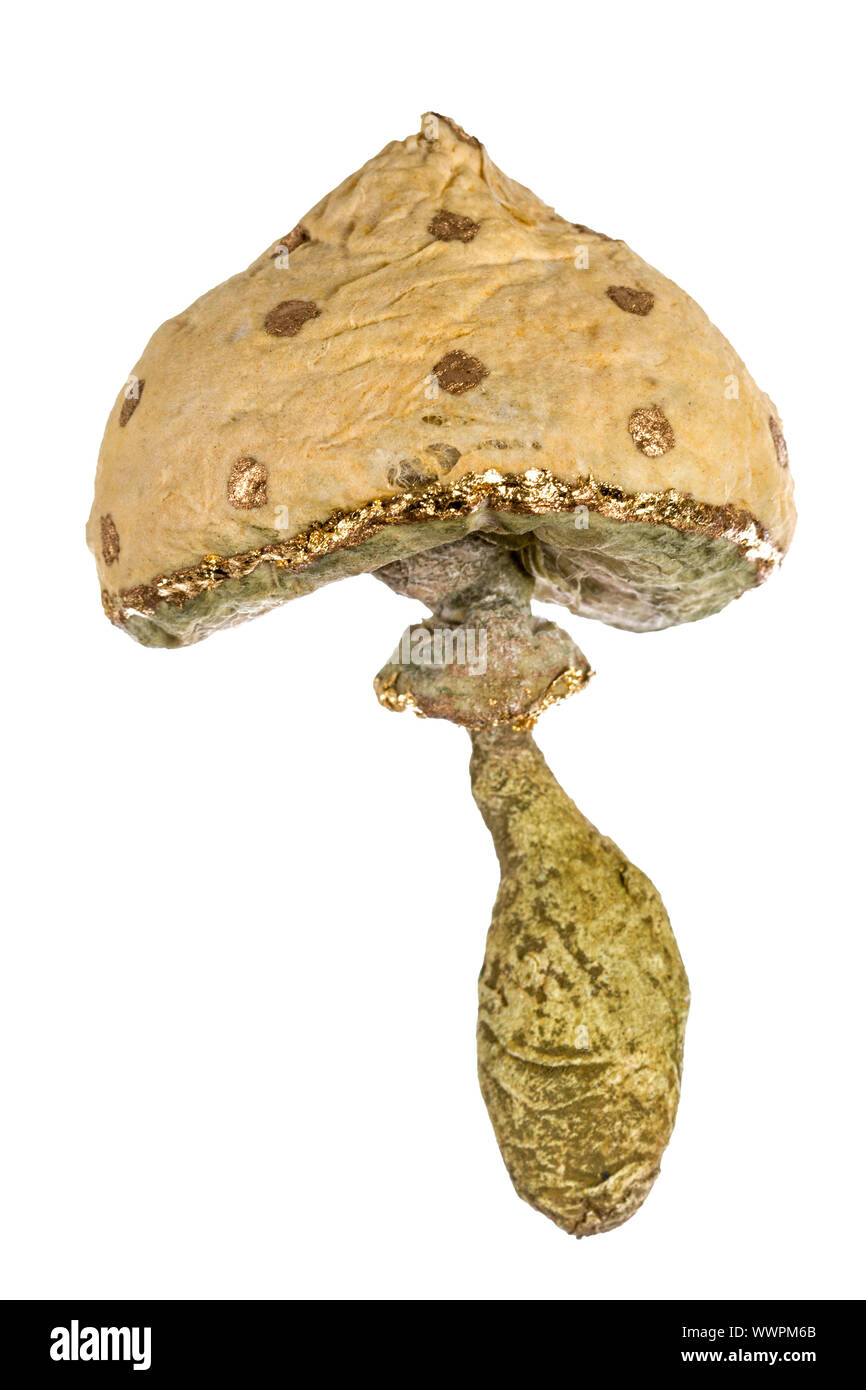 Beautiful toy in the form of fungus, isolated on white background Stock ...