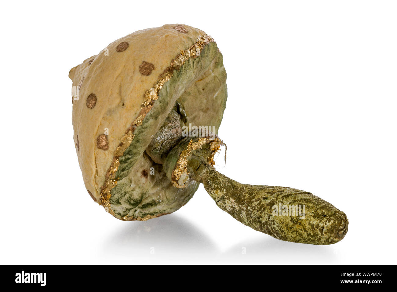 Beautiful toy in the form of fungus, isolated on white background Stock ...