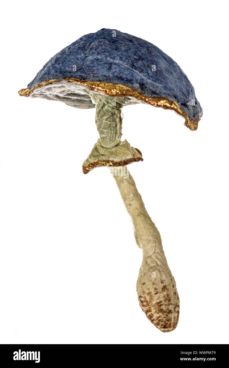 Beautiful toy in the form of fungus, isolated on white background Stock ...