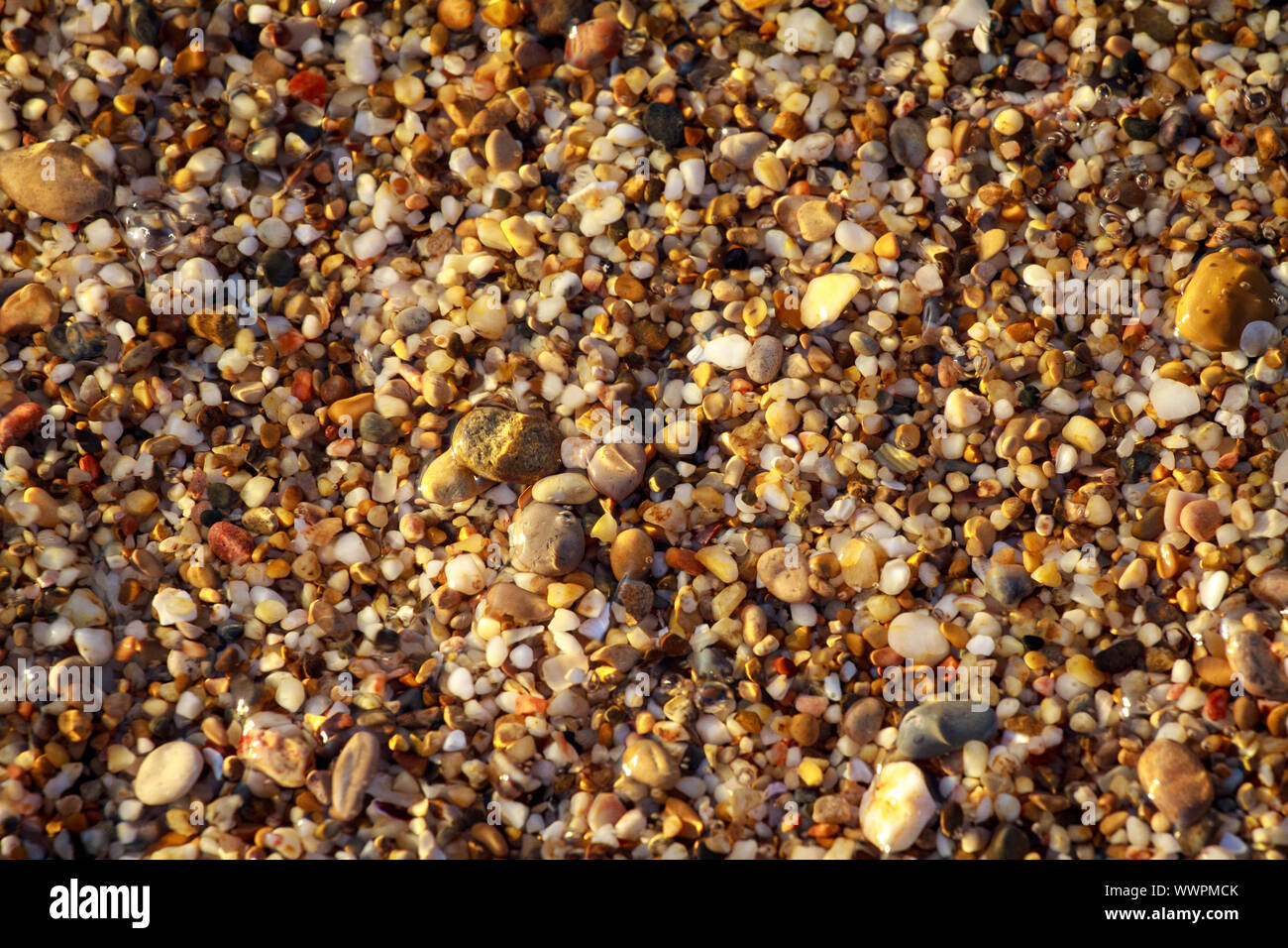 sea pebbles colored granite on the beach background stones. The shore ...