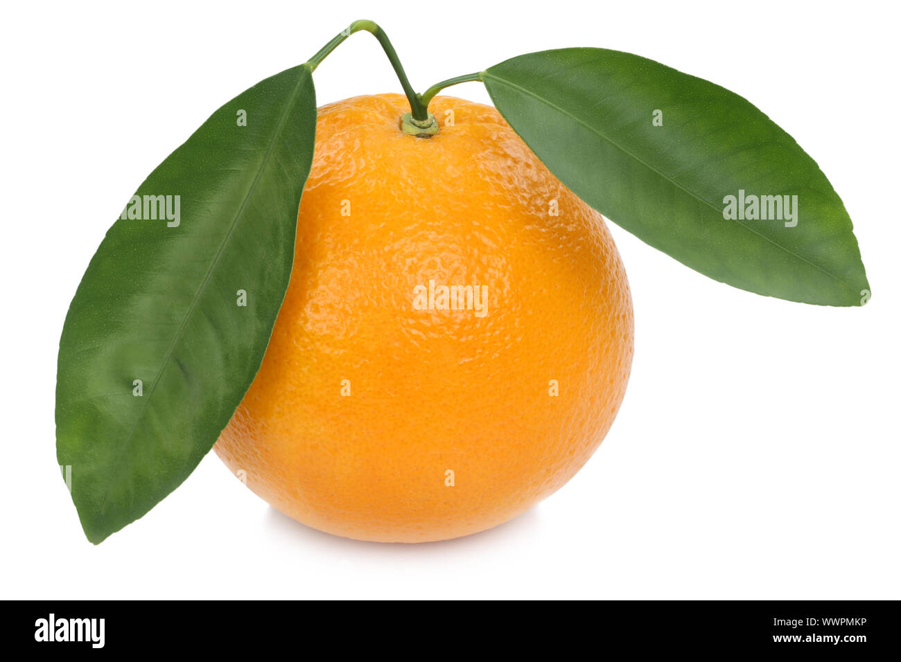 Orange fruit clipping optional Stock Photo - Alamy