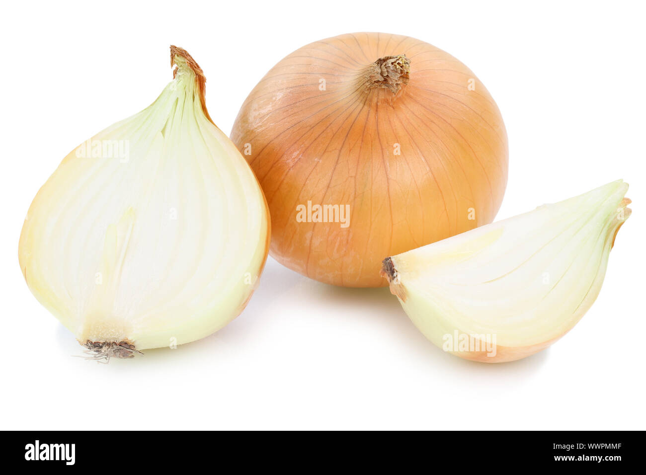Fresh Onion Onions Cut Vegetables Cut-Out Cut-Out Isolated Stock Photo ...