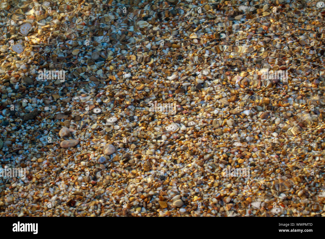 sea pebbles colored granite on the beach background stones. The shore ...