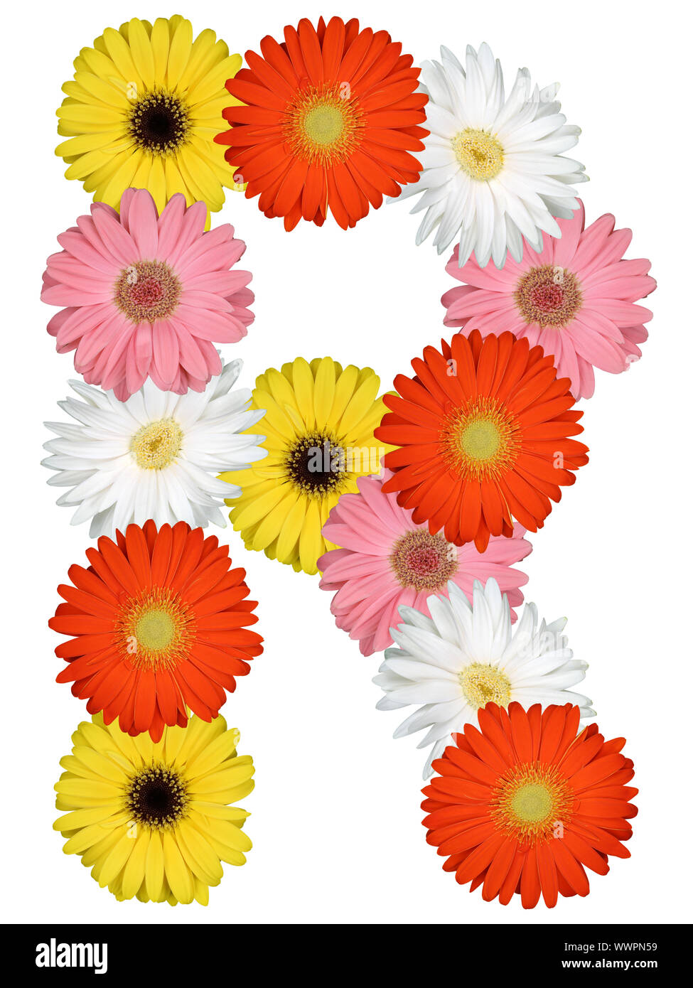 Letter r flowers hi-res stock photography and images - Alamy