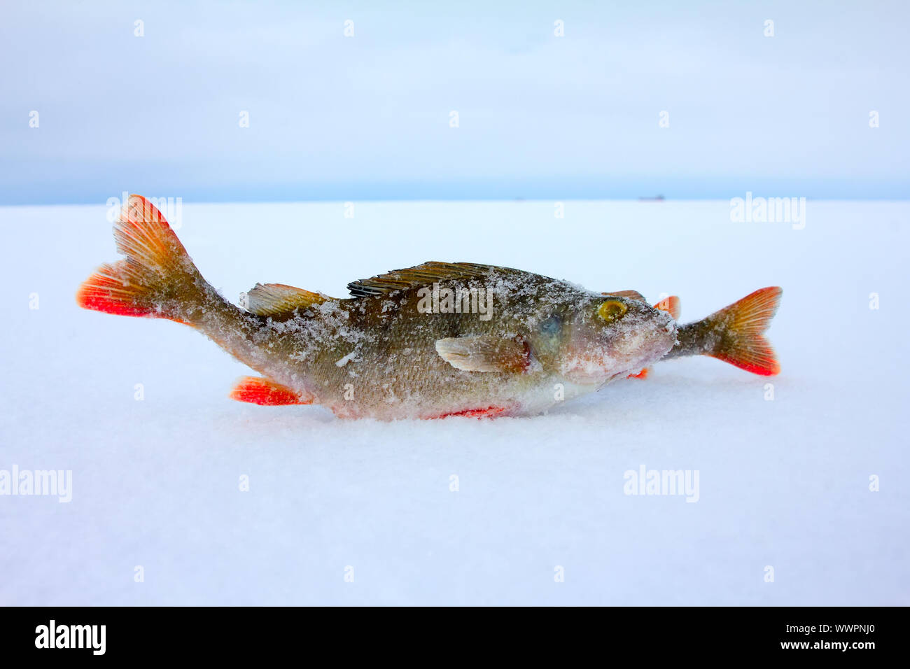 Fishing vacations hi-res stock photography and images - Alamy